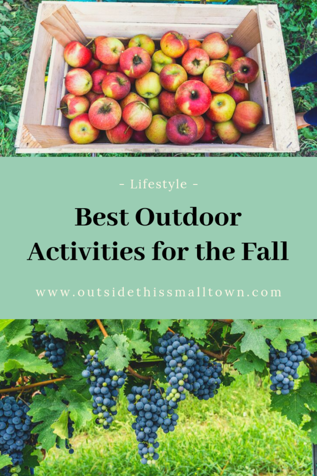 My Favorite Fall Activities: Grape Stomps, Picking Apples & Pumpkin Patches